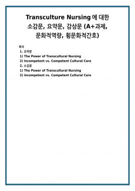 Transculture Nursing에 대한 소감문, 요약문, 감상문 (문화적역량, 횡문화적간호)-1페이지