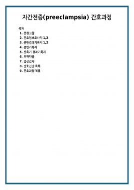 자간전증(preeclampsia) 간호과정-1페이지