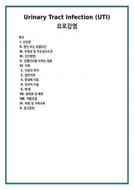 Urinary Tract Infection (UTI) 요로감염-1페이지