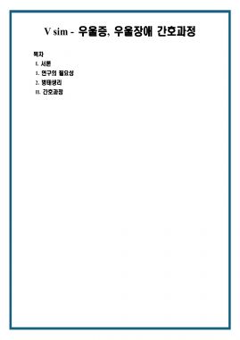 V sim - 우울증, 우울장애 간호과정-1페이지