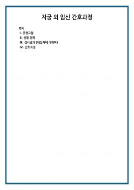자궁 외 임신 간호과정-1페이지