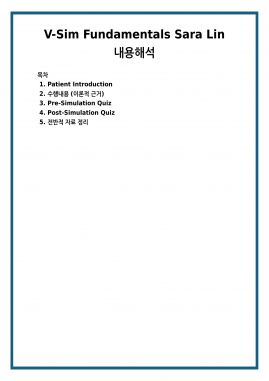 V-Sim Fundamentals Sara Lin 내용해석-1페이지