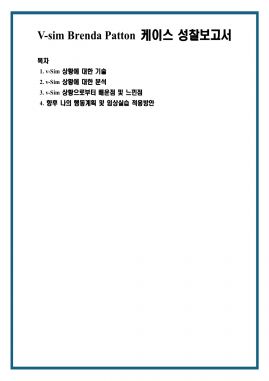 V-sim Brenda Patton 케이스 성찰보고서-1페이지