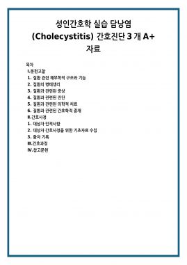 성인간호학 실습 담낭염(Cholecystitis) 간호진단3개 자료-1페이지