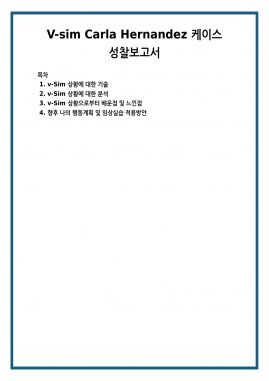 V-sim Carla Hernandez 케이스 성찰보고서-1페이지