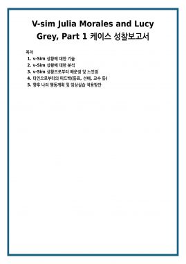 V-sim Julia Morales and Lucy Grey, Part 1 케이스 성찰보고서-1페이지