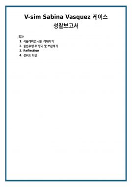 V-sim Sabina Vasquez 케이스 성찰보고서-1페이지