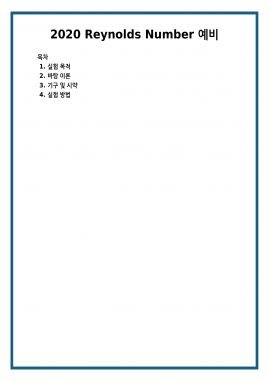 2020 Reynolds Number 예비-1페이지