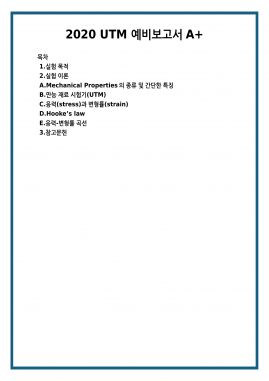 UTM 예비보고서-1페이지