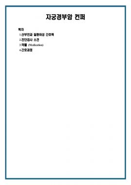 자궁경부암 컨퍼-1페이지