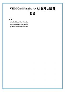 VSIM Carl Shapiro 5,6단계 서술형 한글-1페이지