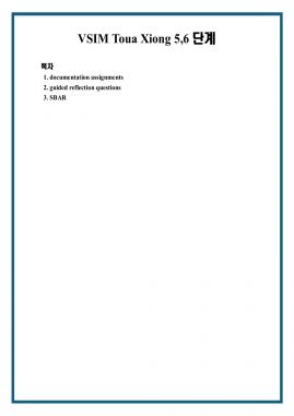 VSIM Toua Xiong 5,6단계-1페이지