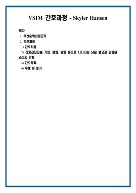 VSIM 간호과정 - Skyler Hansen-1페이지