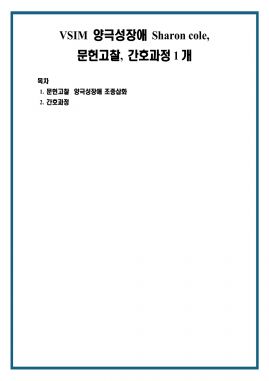 VSIM 양극성장애 Sharon cole, 문헌고찰, 간호과정1개-1페이지