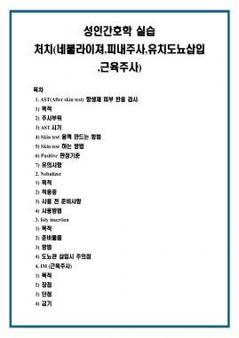 성인간호학 실습 처치(네불라이져,피내주사,유치도뇨삽입,근육주사)-1페이지