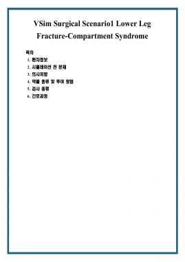 VSim Surgical Scenario1 Lower Leg Fracture-Compartment Syndrome-1페이지