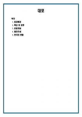 대포 레포트 자료-1페이지