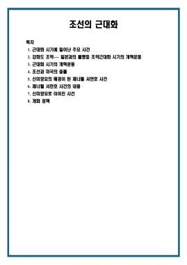 조선의 근대화 (1)-1페이지
