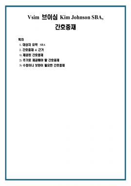 Vsim 브이심 Kim Johnson SBA, 간호중재-1페이지