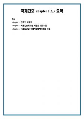 국제간호 chapter 1,2,3 요약-1페이지