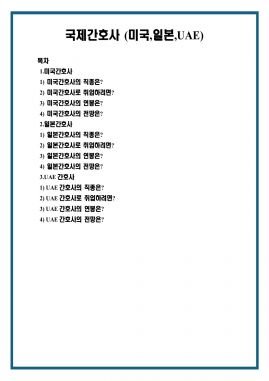 국제간호사 (미국,일본,UAE)-1페이지