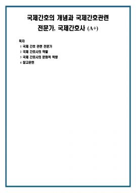 국제간호의 개념과 국제간호관련 전문가, 국제간호사-1페이지