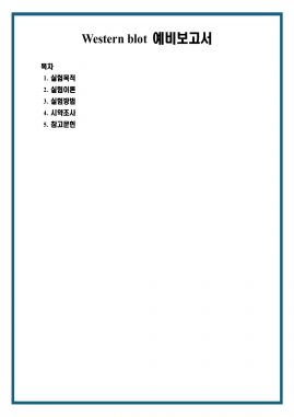 Western blot 예비보고서-1페이지