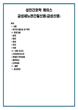 성인간호학 케이스 급성세뇨관간질신염(급성신염)-1페이지