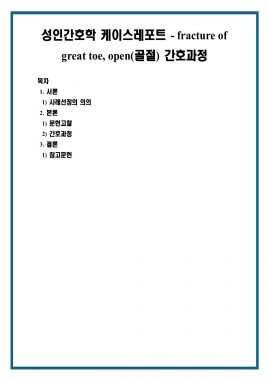 성인간호학 케이스레포트 - fracture of great toe, open(골절) 간호과정-1페이지