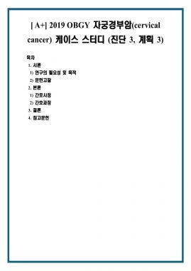 OBGY 자궁경부암(cervical cancer) 케이스 스터디 (진단 3, 계획 3)-1페이지