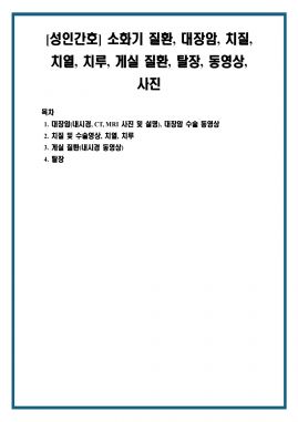 [성인간호] 소화기 질환, 대장암, 치질, 치열, 치루, 게실 질환, 탈장, 동영상, 사진-1페이지