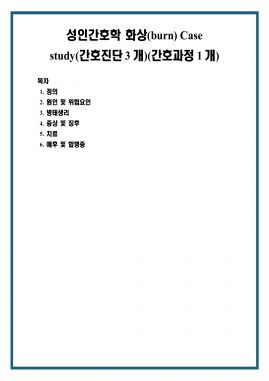 성인간호학 화상(burn) Case study(간호진단3개)(간호과정1개)-1페이지