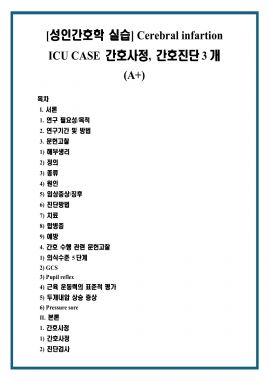 [성인간호학 실습] Cerebral infartion ICU CASE 간호사정, 간호진단3개-1페이지