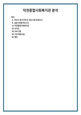 덕천종합사회복지관 분석-1페이지