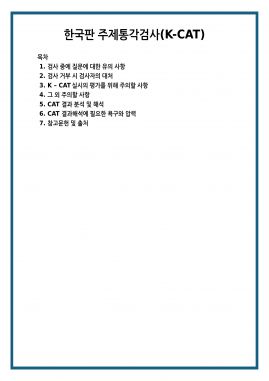 한국판 주제통각검사(K-CAT)-1페이지