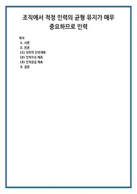 조직에서 적정 인력의 균형 유지가 매우 중요하므로 인력-1페이지