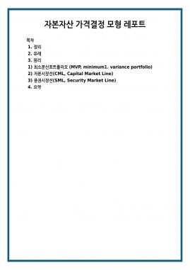 자본자산 가격결정 모형 레포트-1페이지