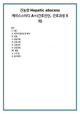 간농양 Hepatic abscess 케이스스터디 (간호진단, 간호과정 5개)-1페이지