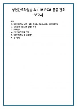 성인간호학실습 IV PCA 통증 간호 보고서-1페이지