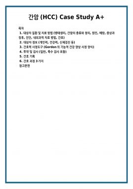 간암 (HCC) Case Study-1페이지