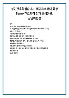 성인간호학실습 케이스스터디 화상 Burn-간호과정 2개 급성통증, 감염위험성-1페이지
