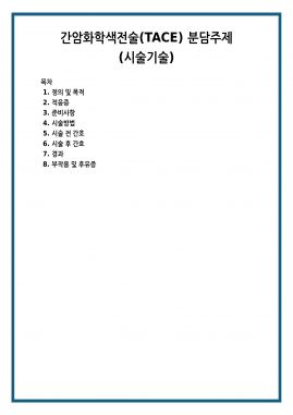 간암화학색전술(TACE) 분담주제(시술기술)-1페이지