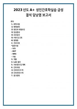 2023년도 성인간호학실습 급성 결석 담낭염 보고서-1페이지