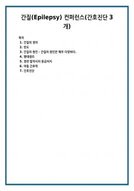 간질(Epilepsy) 컨퍼런스(간호진단 3개)-1페이지