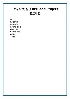 도로공학 및 실습 RP(Road Project) 프로젝트-1페이지
