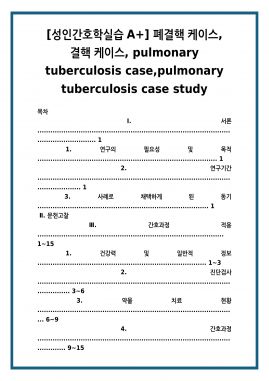 [성인간호학실습] 폐결핵 케이스, 결핵 케이스, pulmonary tuberculosis case,pulmonary tuberculosis case study-1페이지