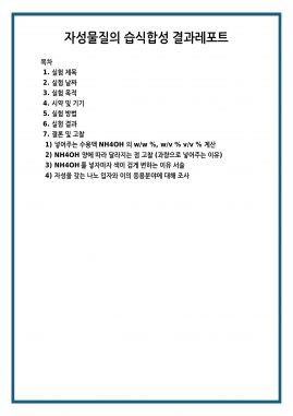 자성물질의 습식합성 결과레포트-1페이지