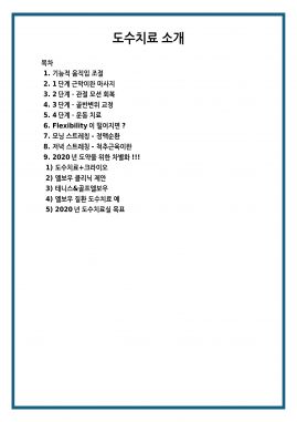 도수치료 소개-1페이지