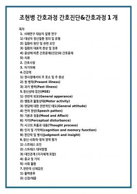 조현병 간호과정 간호진단&간호과정1개-1페이지