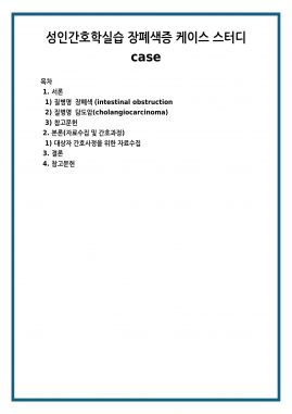 성인간호학실습 장폐색증 케이스 스터디 case-1페이지